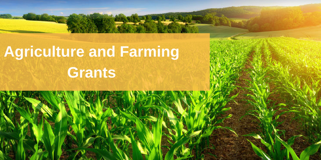Sustainable Farming Grant Opportunities | Stockbridge Online