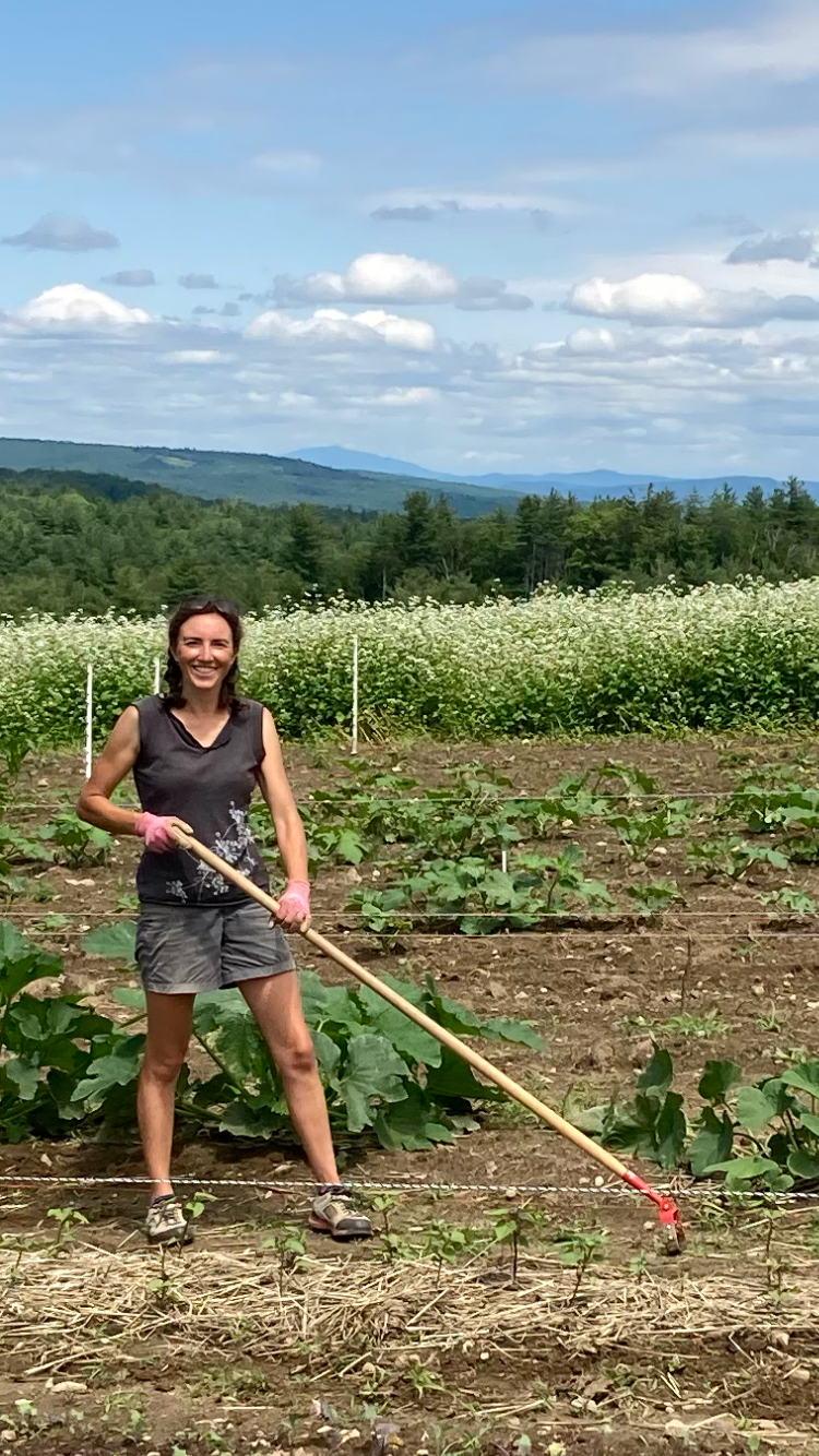 Farm Management, Planning and Marketing | Stockbridge Online